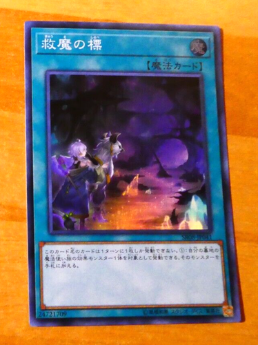 YU-GI-OH JAPANESE SUPER RARE HOLO CARD CARTE Lord Of Magier SR08-JP041 MINT | eBay