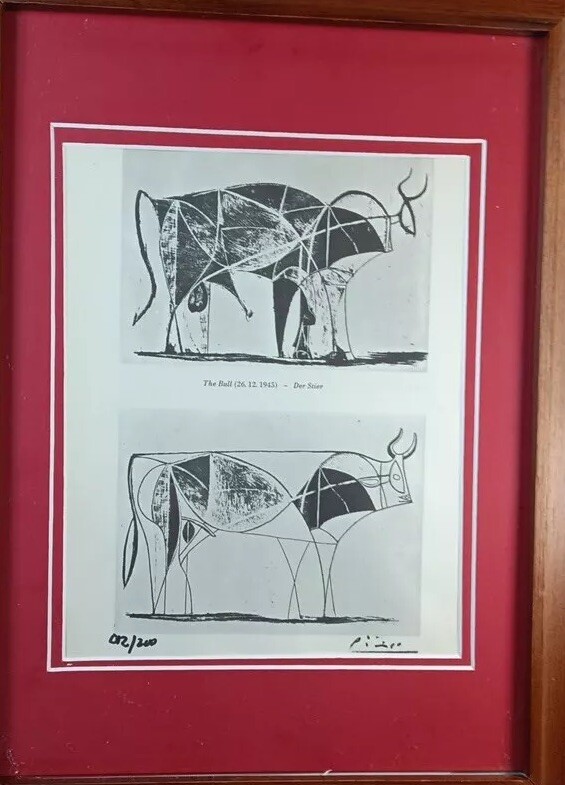 Picasso Bull Drawings The Bull Fight Saint Louis Art Museum