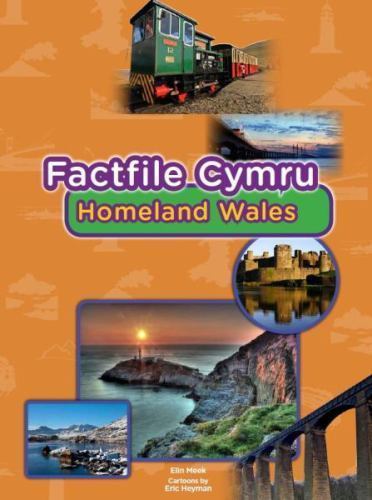 Factfile Cymru Ser.: Factfile Cymru: Homeland Wales by Elin Meek (2013 ...
