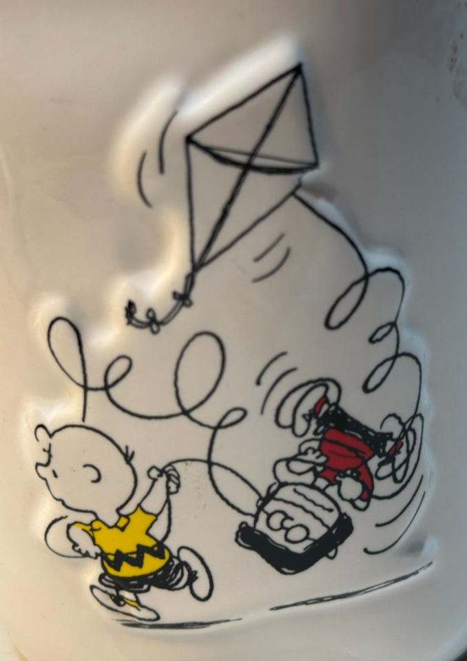 Rae Dunn PEANUTS 75th Anniversary 'Everything Seems Fine' Charlie Brown ...