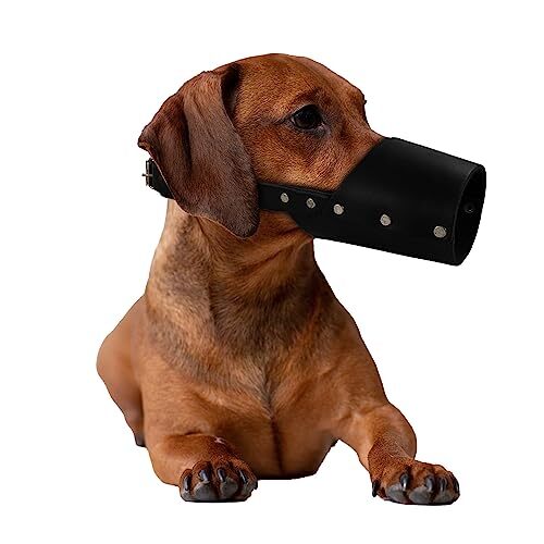 , Dog Muzzle Guard, Secure, Prevents Biting Chewing, Pitbull German ...