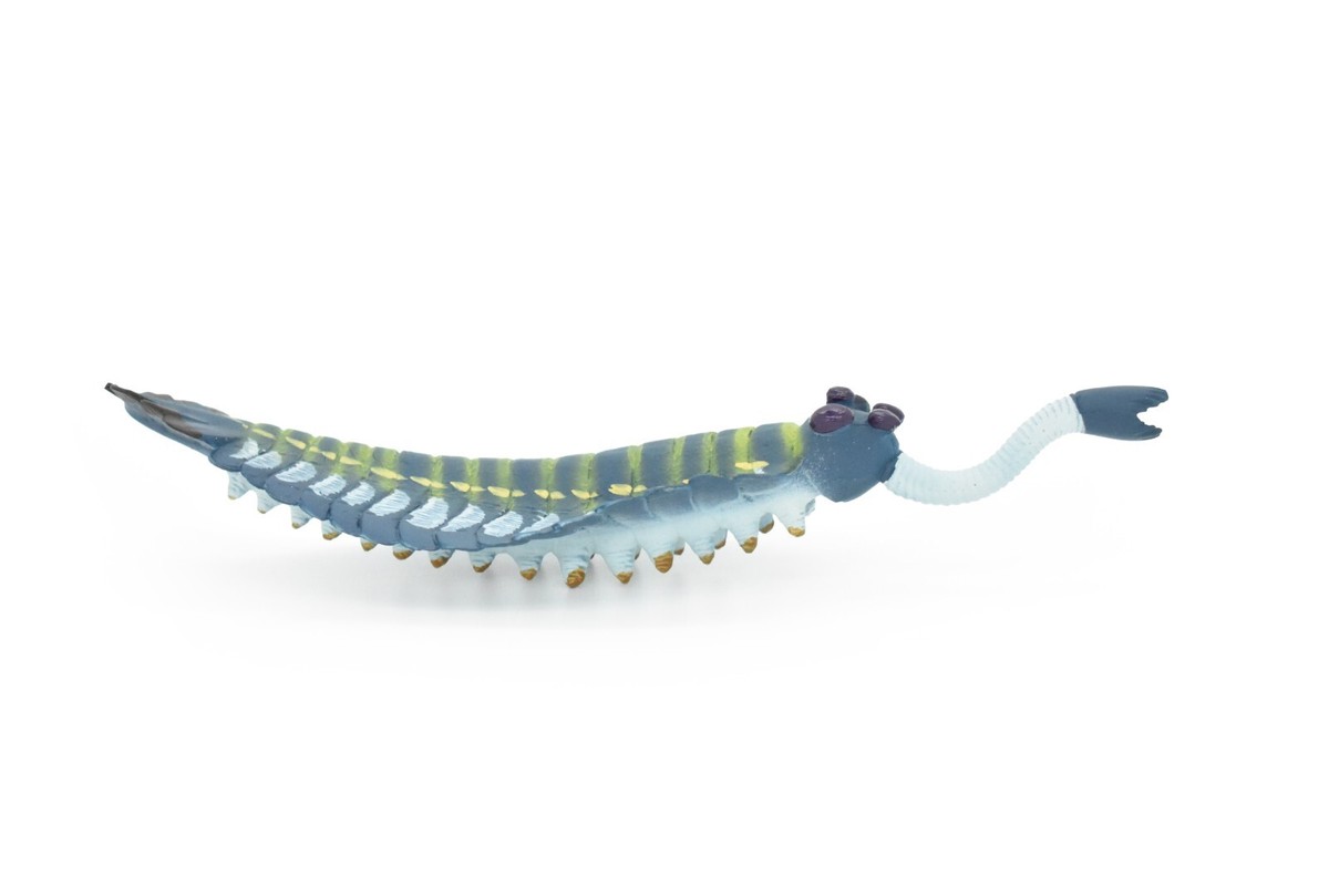 Opabinia Fossil