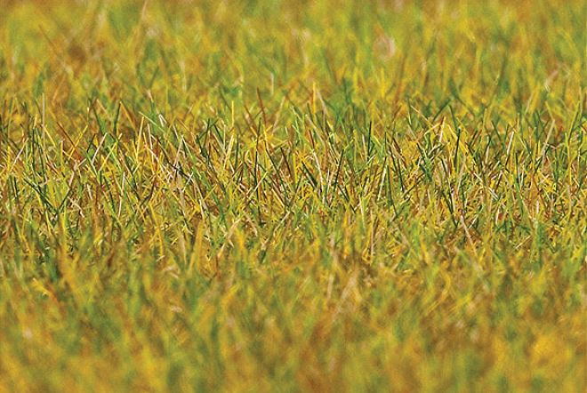 Faller HO Scale Scenery Accessory Kit Static Grass Ground Cover Fiber ...