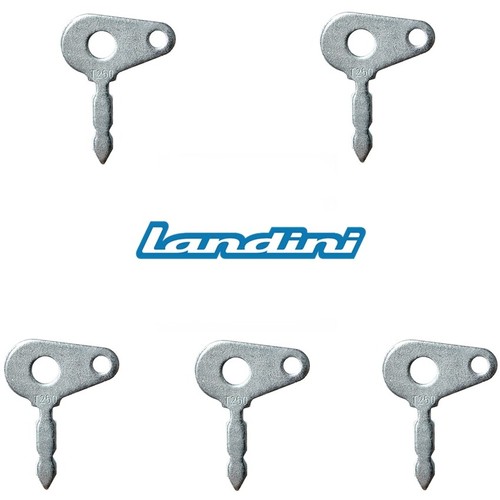 Landini tractor Ignition Keys 1695447M1 Mistral Advantage Globus ...