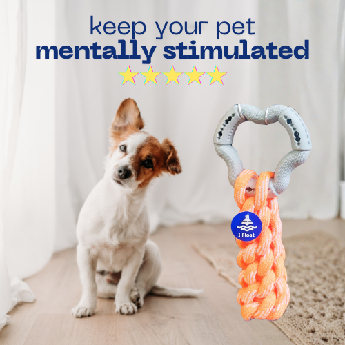 🐾 Fetch N Float Dog Toy – Floating Rope & Ring Strong Tug Fetch ...