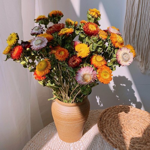 Beautifully Preserved 20 Dried Daisy Wedding Bouquet Natural and | eBay