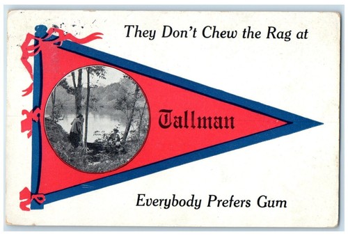 1910 They Don't Chew Rag Tallman Michigan Everybody Prefers Gum Pennant ...