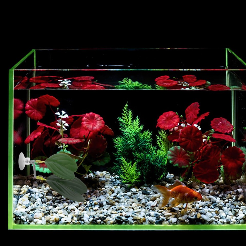 Betta Fish Hammock Plant Leaf Pad Fish Spawning Ground Breeding Resting ...