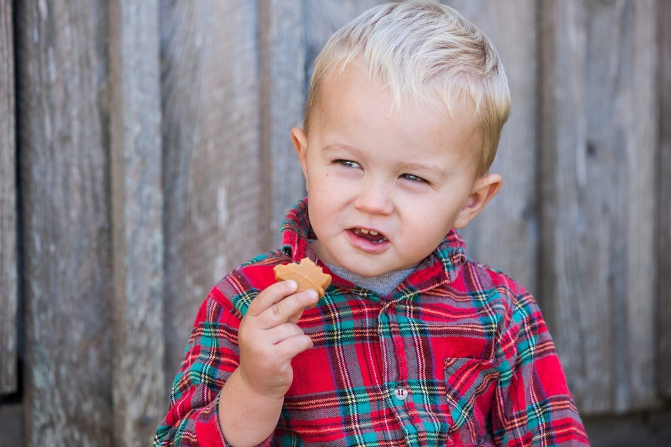 FREE SHIPPING 1 lb. ALL NATURAL Pure Vermont Maple Candy Bumps and ...