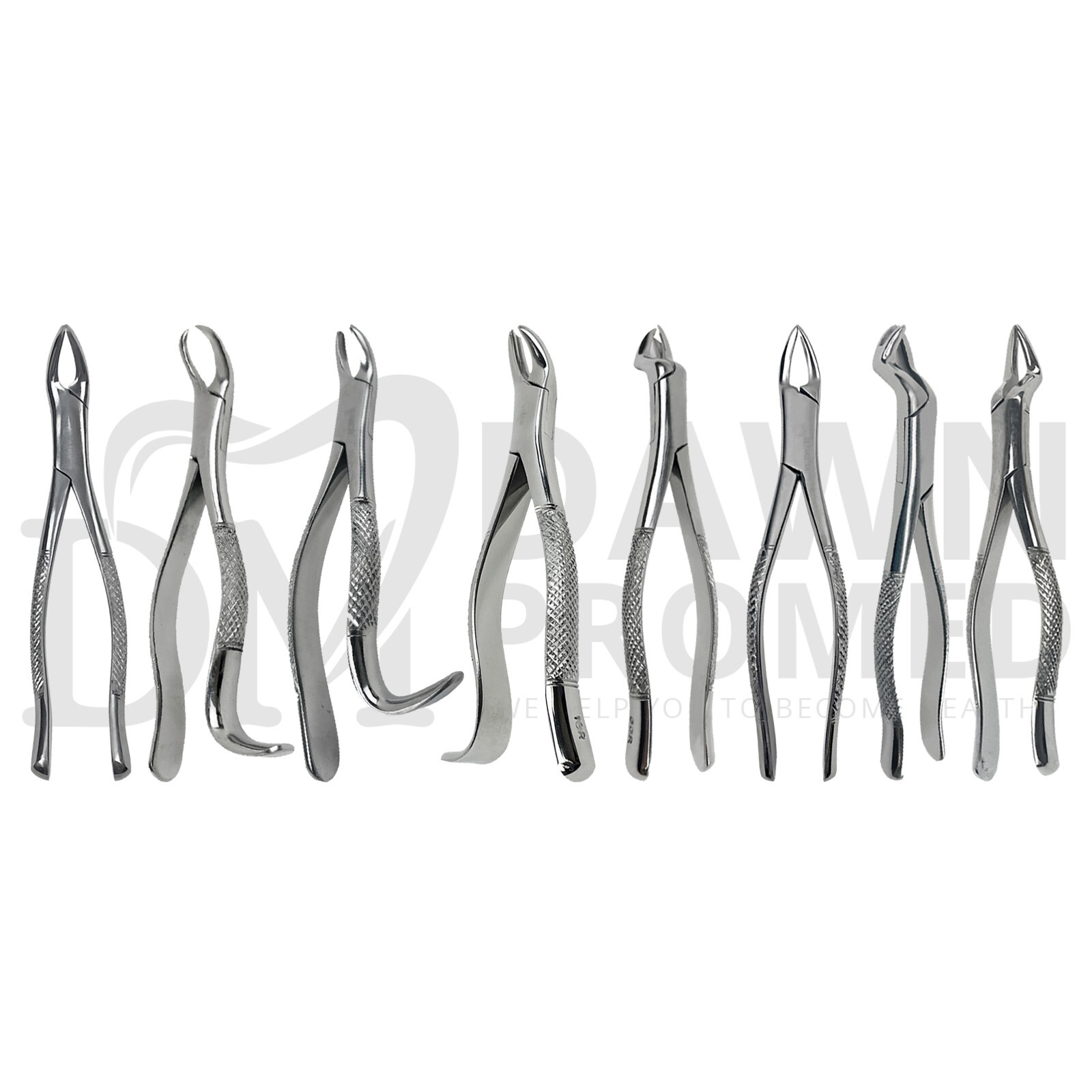 32 Pcs Oral Dental Surgery Inst Set Extracting Elevators Forceps Kit-2 ...
