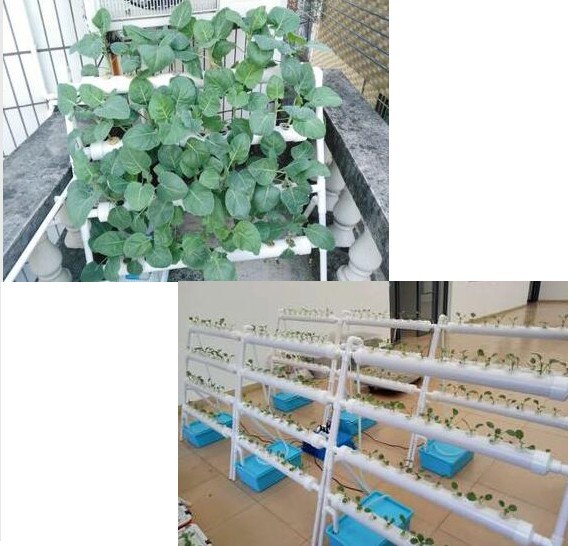 Hydroponic Site Grow Kit 72 Ladder-type Deep Water Culture Garden ...