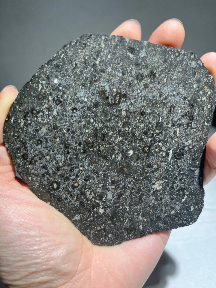 Allende CV3 Meteorite First meteorite with alien proteins Stone ...
