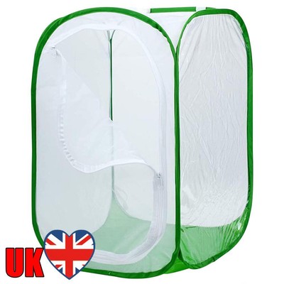 Green Breeding Incubator Box Mesh Insect Cage See Through for Insect ...