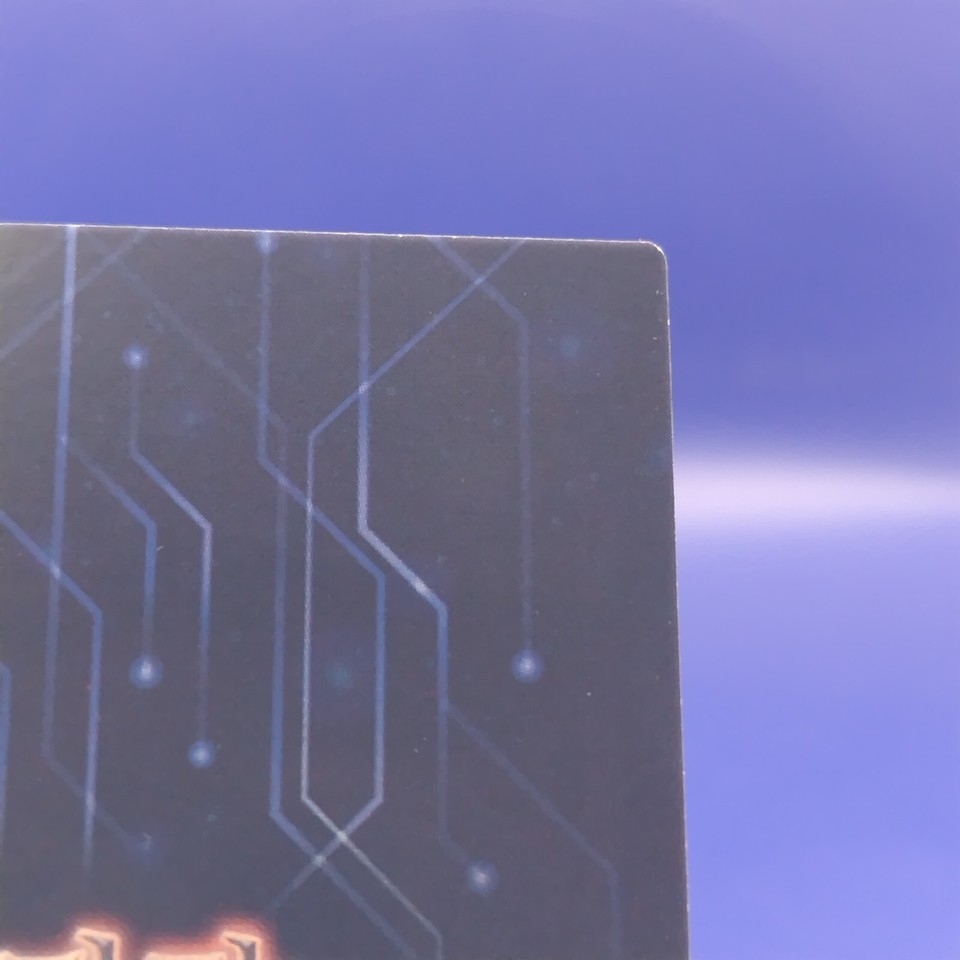 Norma Selner Solo Leveling Korean D&C Media Licensed Card From Japan SL ...