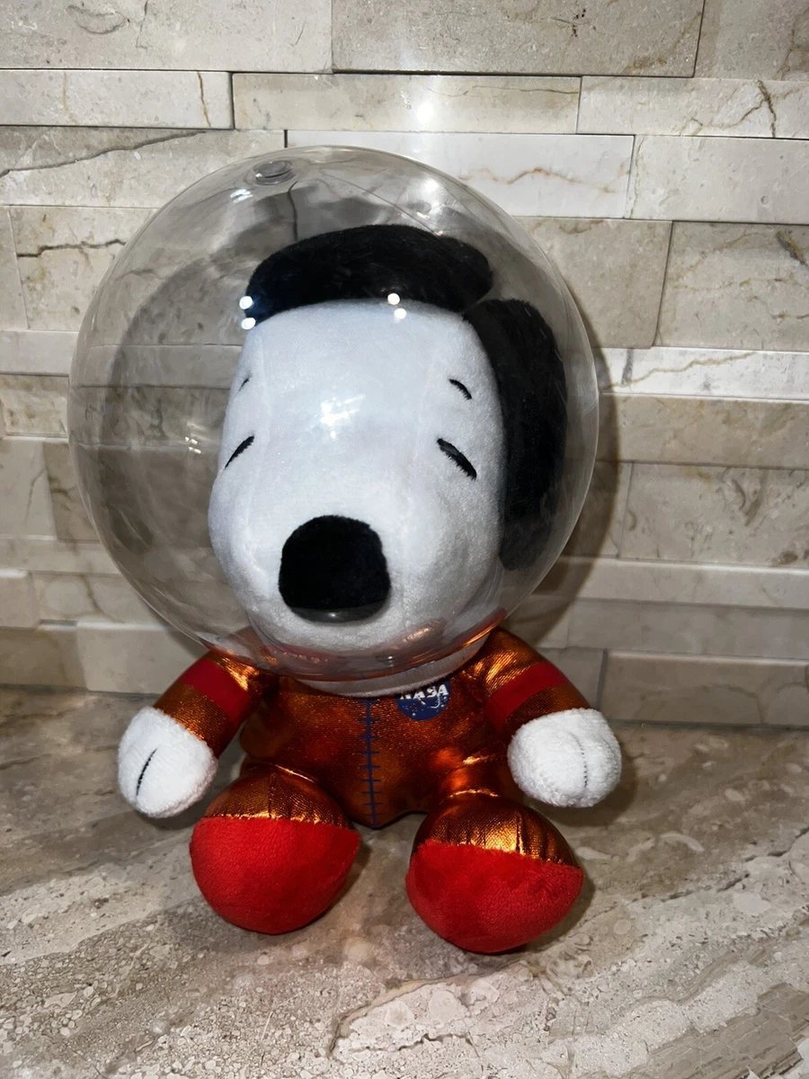 Bubble Suit Nasa