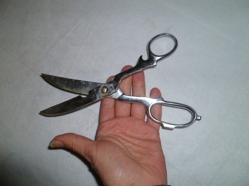 Vintage Griffon Scissors Shears Made In Italy | eBay
