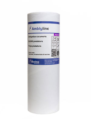 Amblyline CU - Organic Thrips Pest Control x 50,000 Mites | eBay