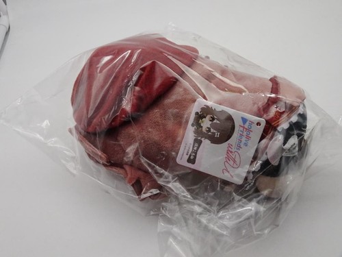 Inugami Korone hololive friends with uPlush Doll Outing costume ver ...