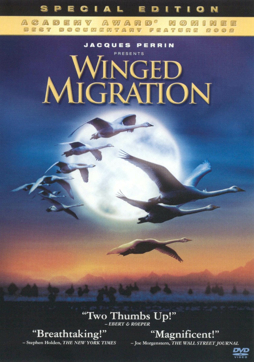 Winged Migration (DVD, 2001) for sale online | eBay