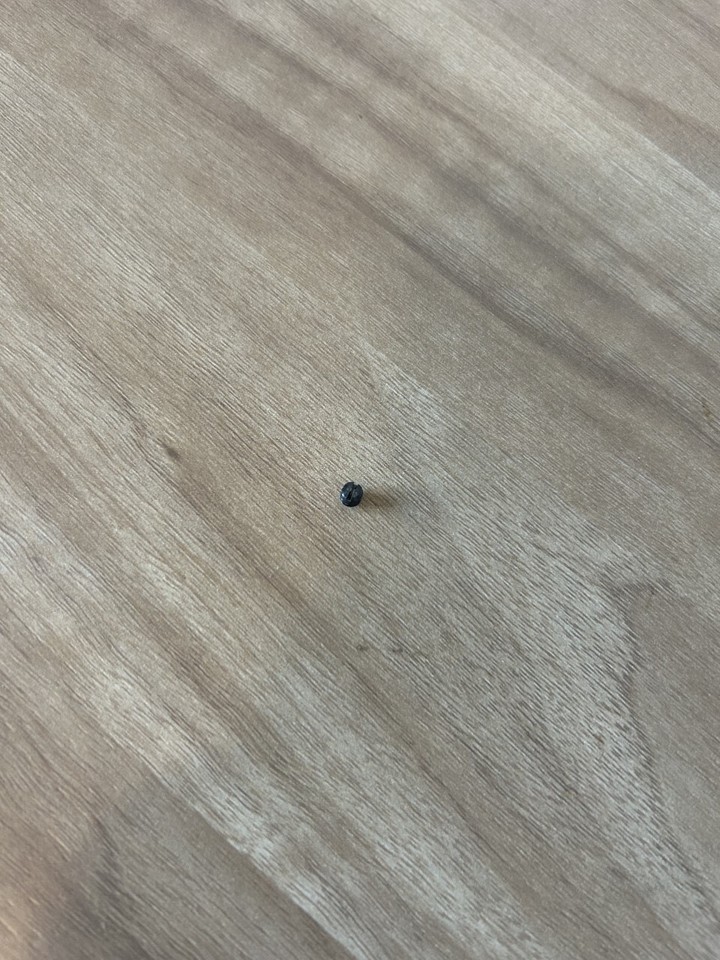 SAKO Model L-61 Finnbear Rifle, Sight Plug Screw, New old Inventory, OR ...