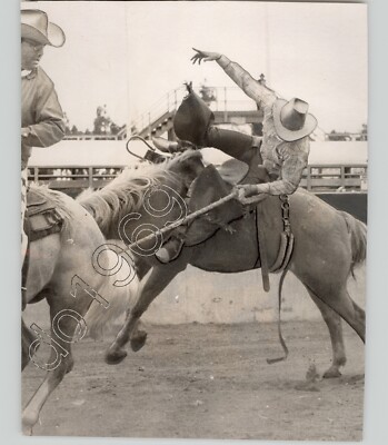 CHUCK LEWIS Bronc Riding Practice @ RODEO Cowboys Sports VTG 1969 Press ...