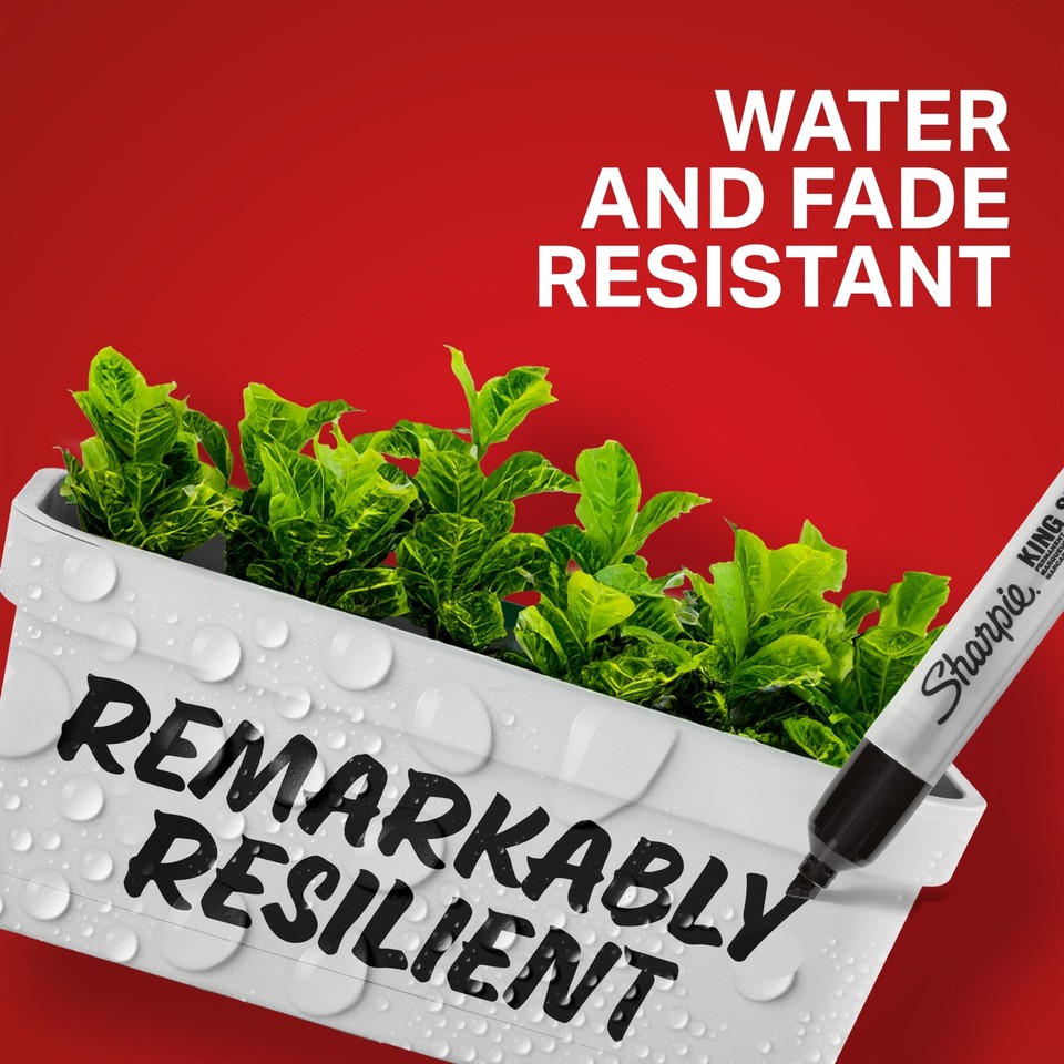 Extra Large Permanent Markers, Large Chisel Tip, Black, 12 Count | eBay