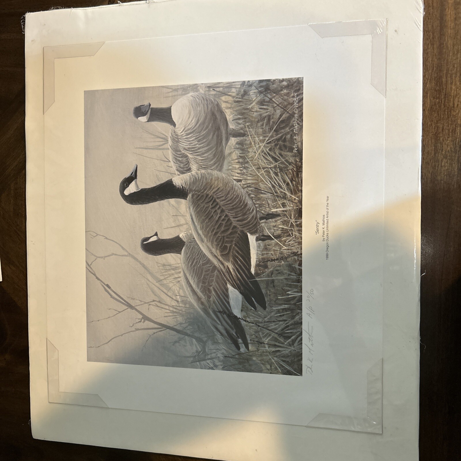 Sentry Print By Peter Mathios S/N Artists Proof 20/50 1098 Canadian ...