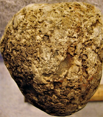 Sponge Fossil Solid Chert Flint Onondaga Limestone Fossil Sponge ...