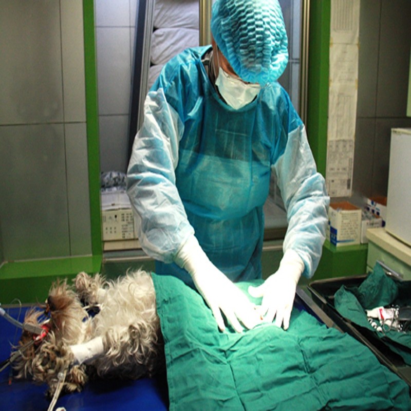 Pet Surgical Cotton Towel Drape Sterilization Ligation Surgery Hole ...