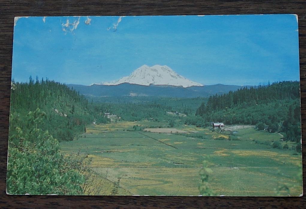 Vintage Color Photograph Postcard, Mount Rainier and Ohop Valley - VGC ...