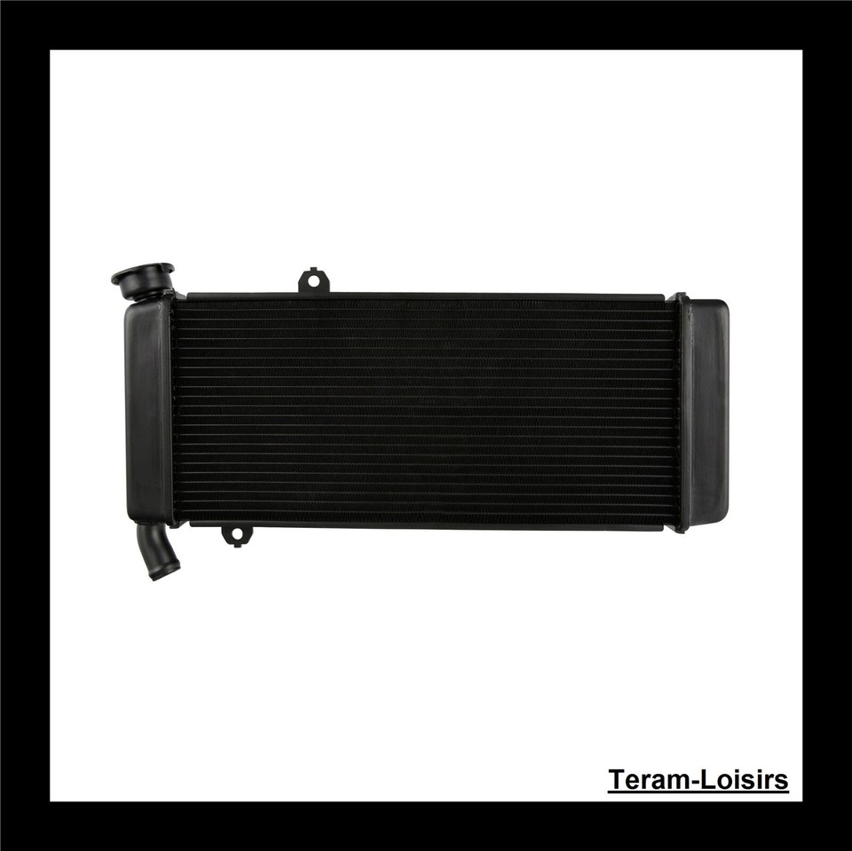 Radiator For Kawasaki VERSYS KLE 650 ABS From 2015 To 2022 / Type 39061 ...