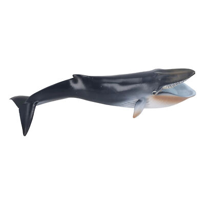 Blue Whale Figure Simulation Educational Hand Painted Sea Figure Toy ...
