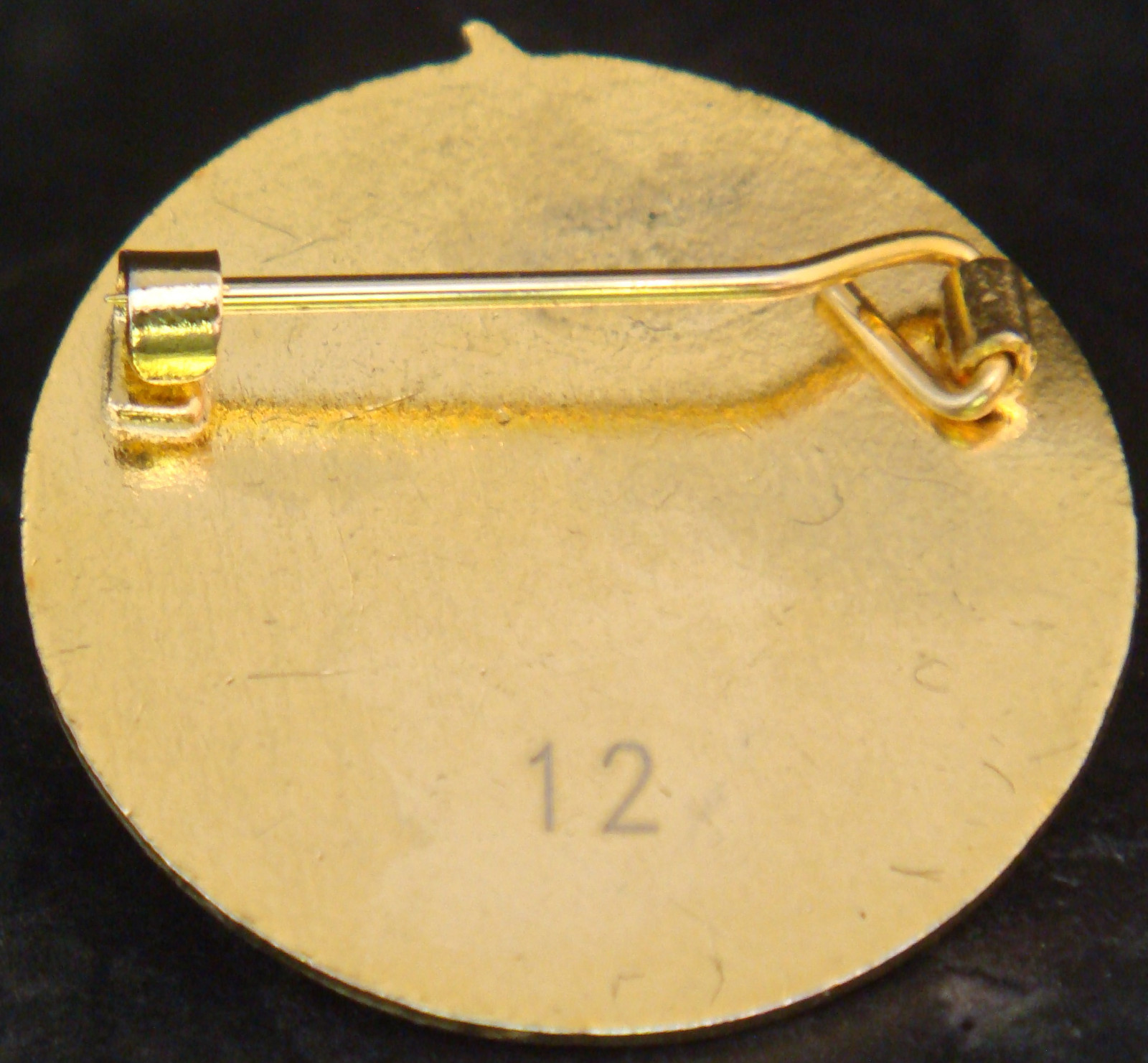 DERBY COUNTY Official COMMITTEE MEMBER badge CHESTERFIELD BRANCH 12 OF ...