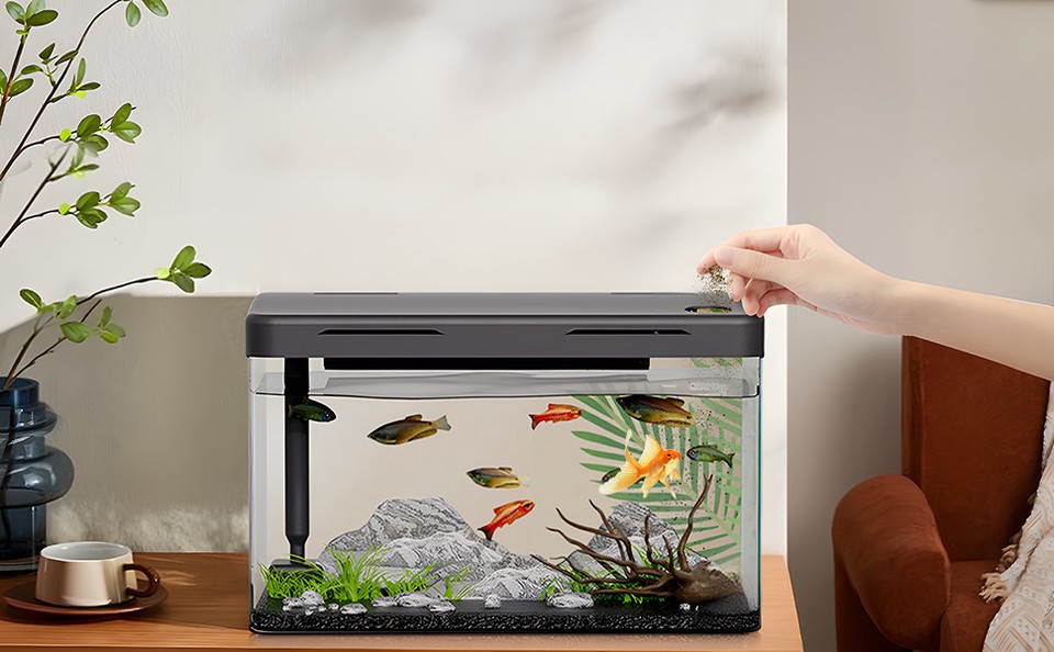 Aquarium Fish Tank Starter Kit Fish Tank Mini Desktop Rectangular Fish ...