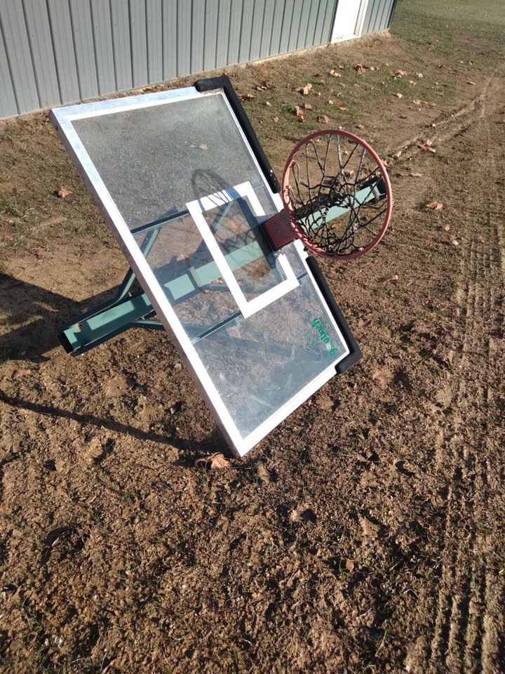 goaliath basketball hoop | eBay