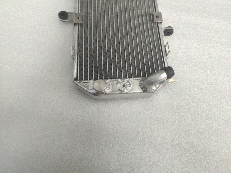 Aluminum Radiator FOR Suzuki BURGMAN 650 ABS AN650/AN650A 2003-2012 06 ...