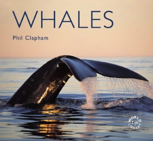 Whales (Worldlife Library) by Clapham, Phil Paperback Book The Cheap ...