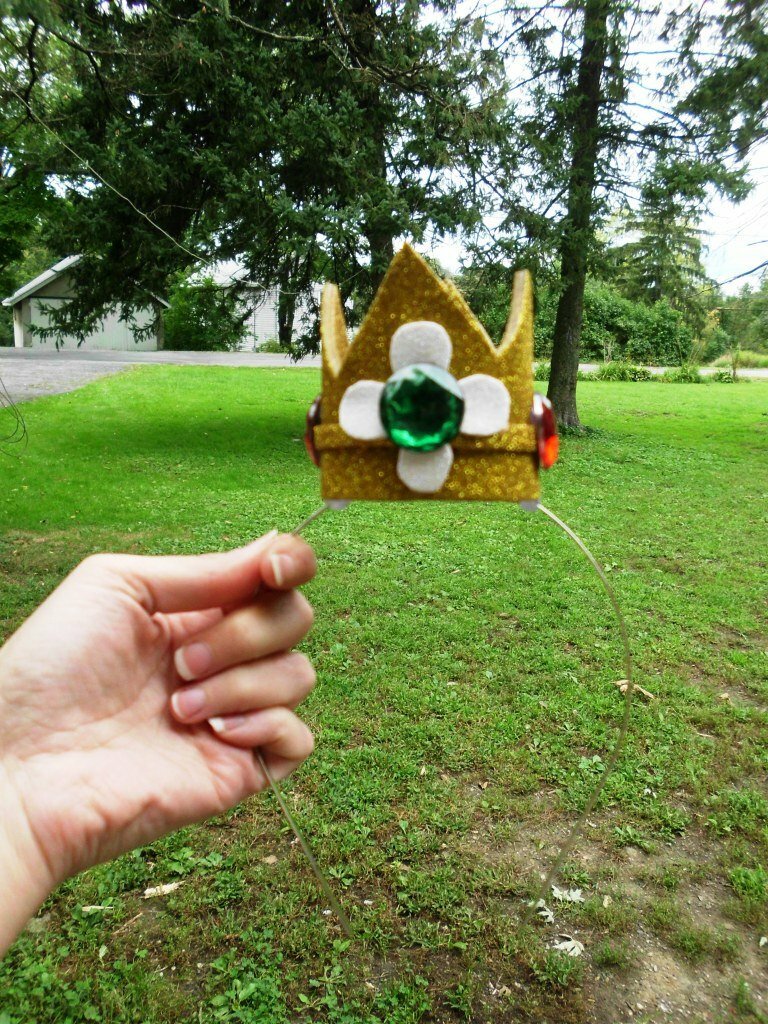 Princess Daisy Costume Homemade