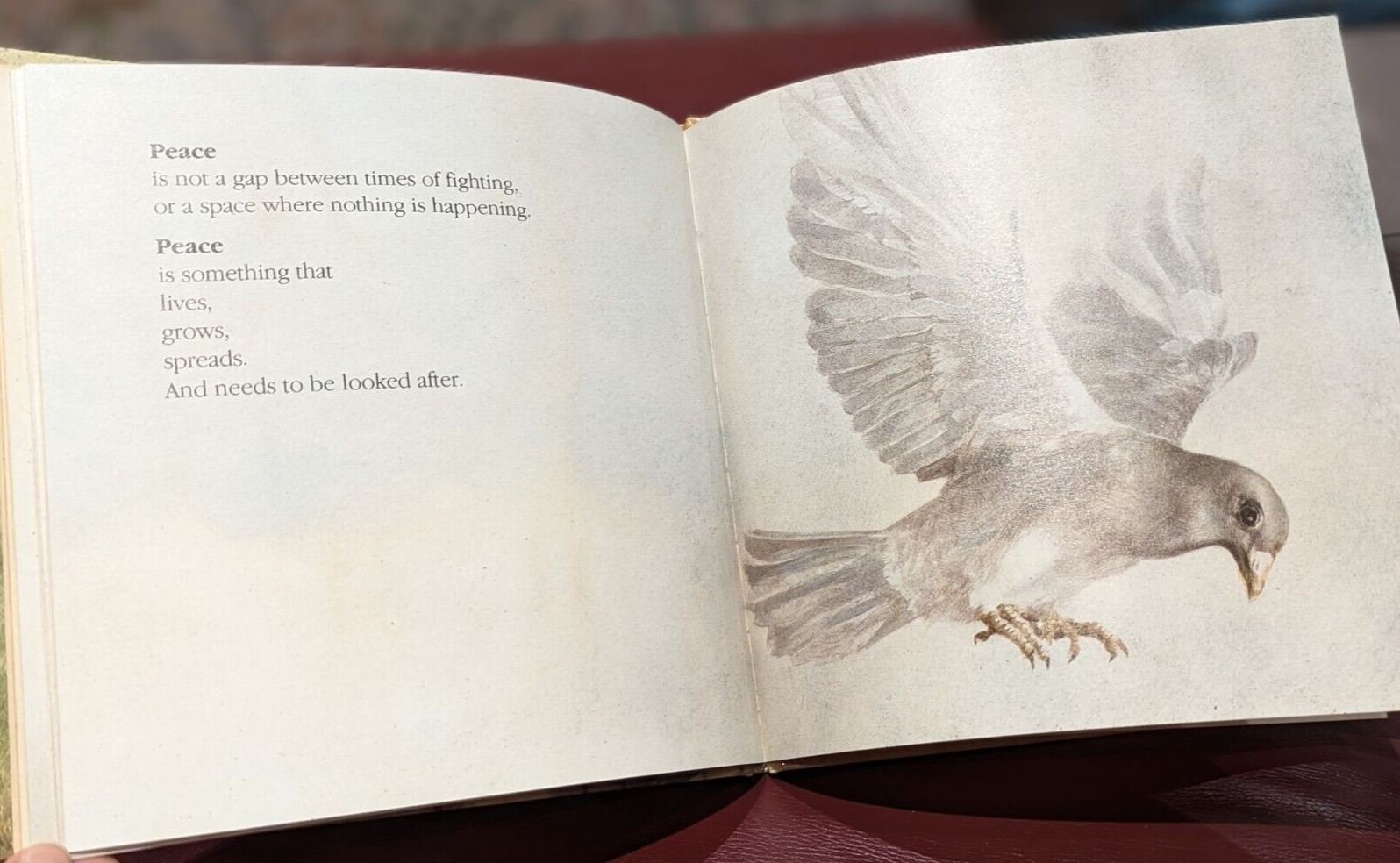 Peacetimes by Katherine Scholes, illustrated by Robert Ingpen ...