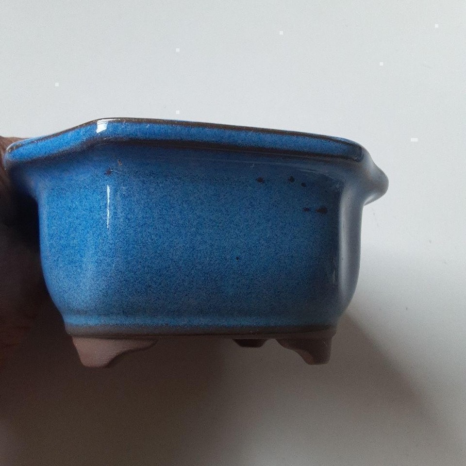 Mini Bonsai Topf Blau Achteckige Japanisch Kunst Form Miniatur Baum ...