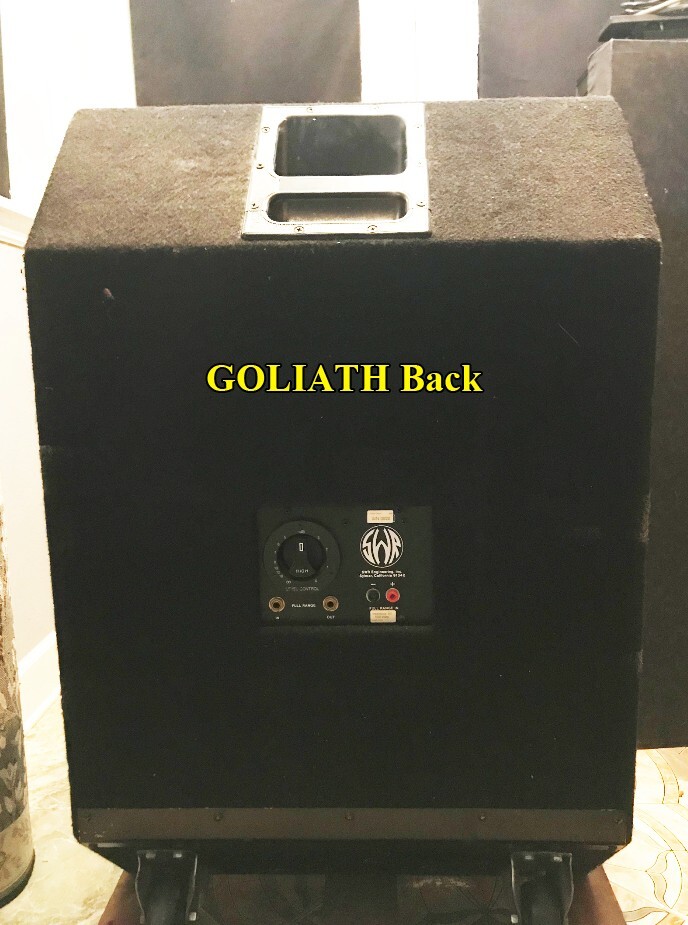 SWR GOLIATH 6-10 Bass Speaker | eBay