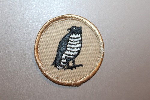 Falcon Patrol Emblem Boy Scouts of America BSA Patch | eBay