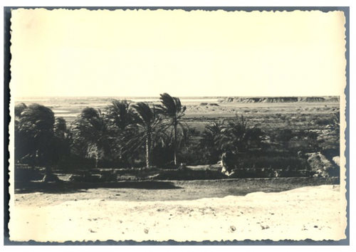 Algérie, Chott Melghir (شط ملغيغ) Vintage silver print Tirage ...