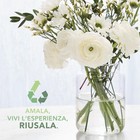 Yankee Candle Candela profumata in giara grande Red Apple Wreath Durata ...