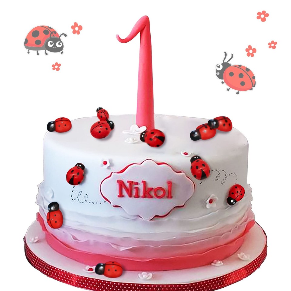 Mini Size Ladybug Cake Decoration Mini Ladybug Cake Topper Ladybug ...