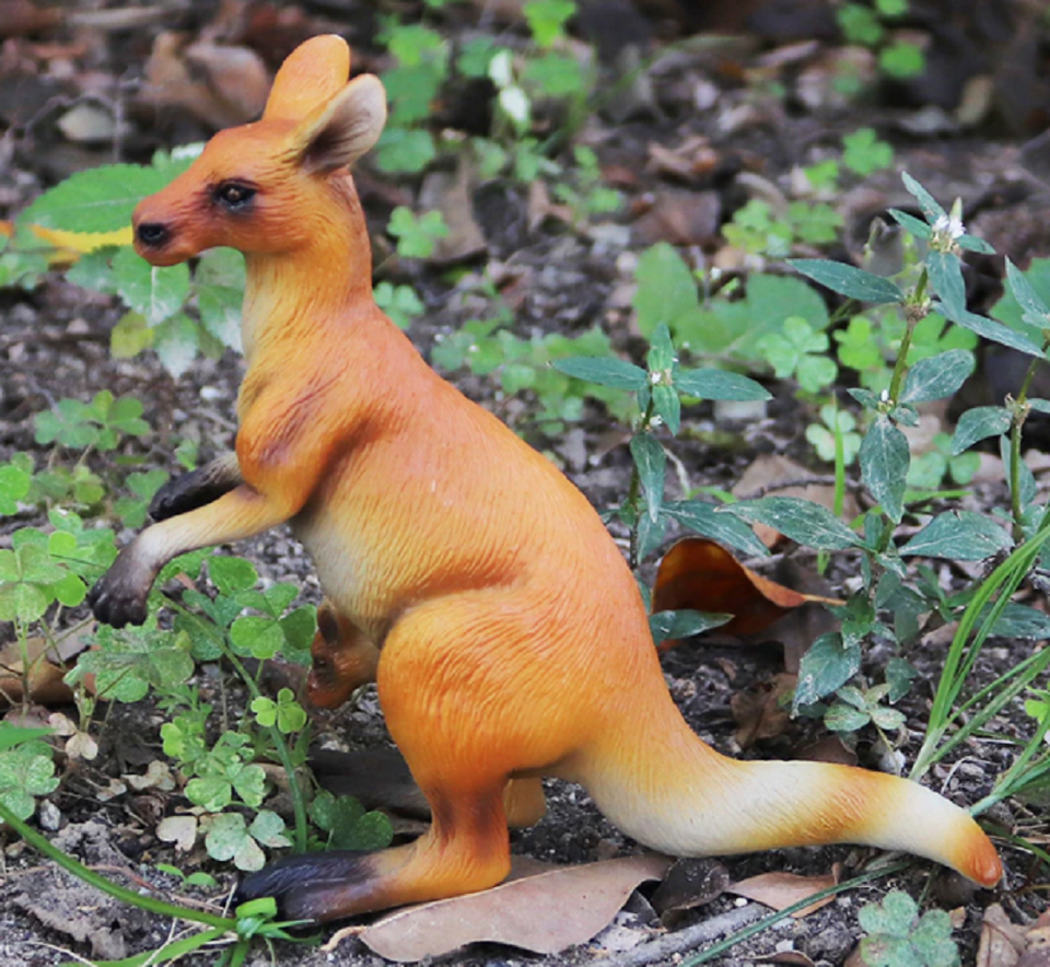 14cm Brown kangaroo PVC Toy Wild Animal Figure Doll Kids Gift | eBay