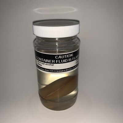 Ramaco Mollusca Clam in Alcohol Specimen Science Jar | eBay