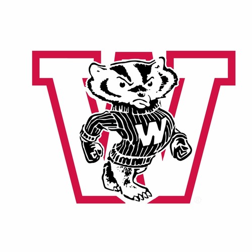 Wisconsin Badgers Stencil - Reusalble Pattern - 10 Mil Mylar | eBay