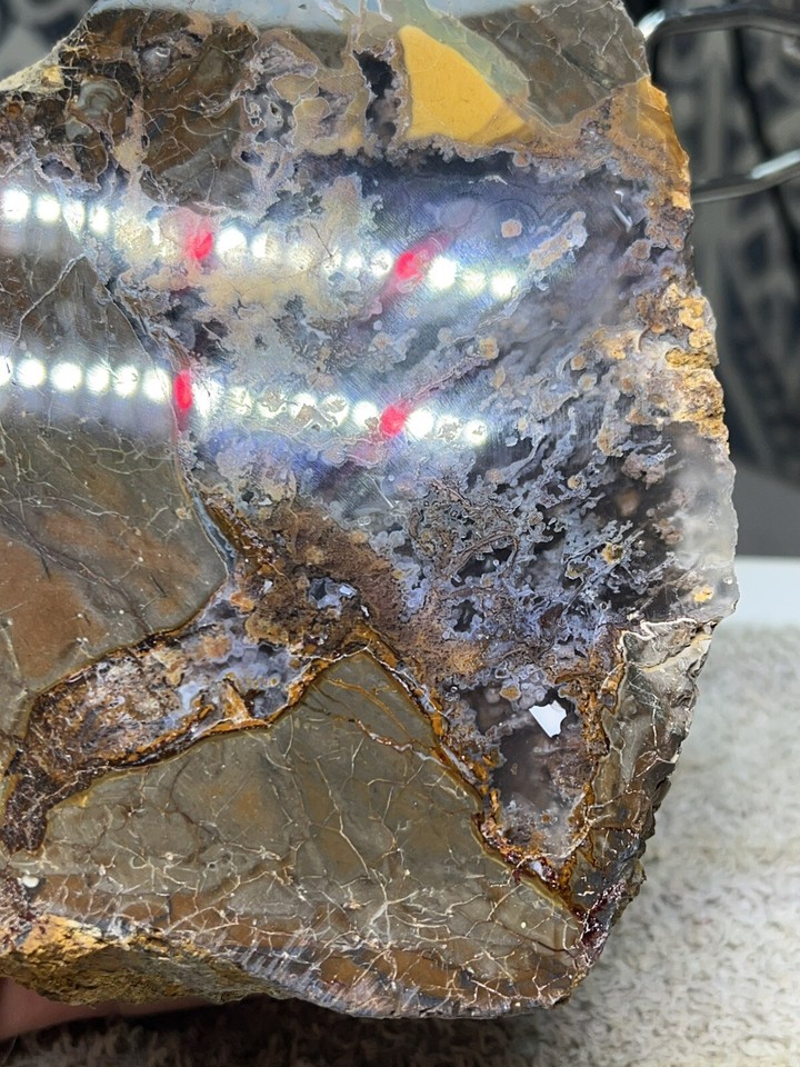 2lb 14oz Polished Canyon Rim Thunderegg Madras Oregon Agate | eBay