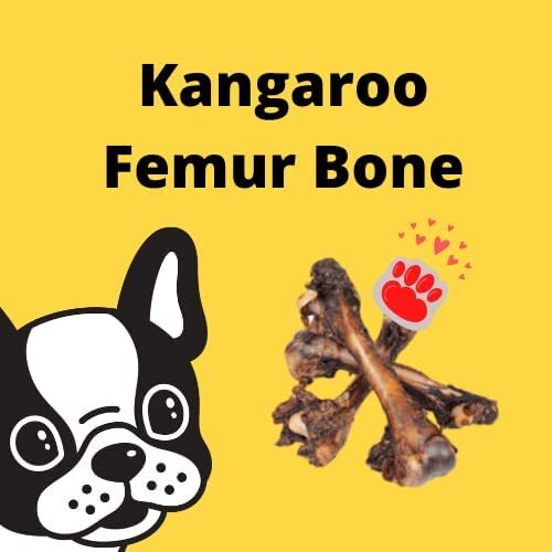 Kangaroo Femur Dog Bones Premium 100% Australian Quality Long Lasting ...